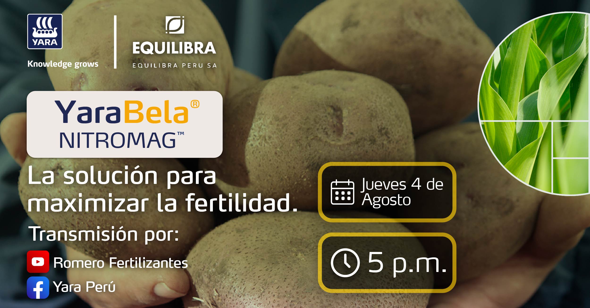 Webinar: YaraBela, la solución que llega a maximizar la fertilidad ...